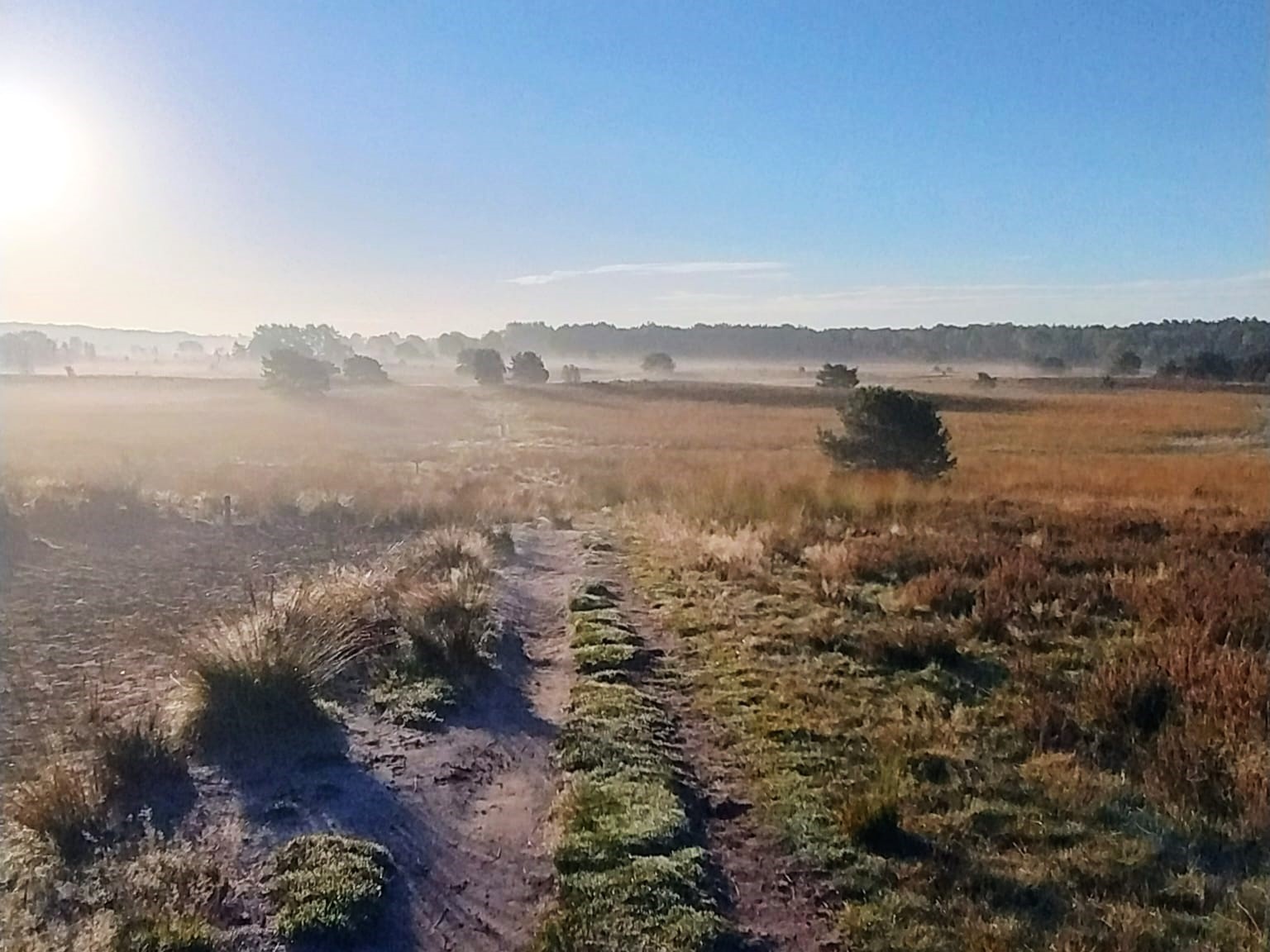 Informatiebijeenkomst over zoekgebied Rozendaalse Veld op 16 januari ...